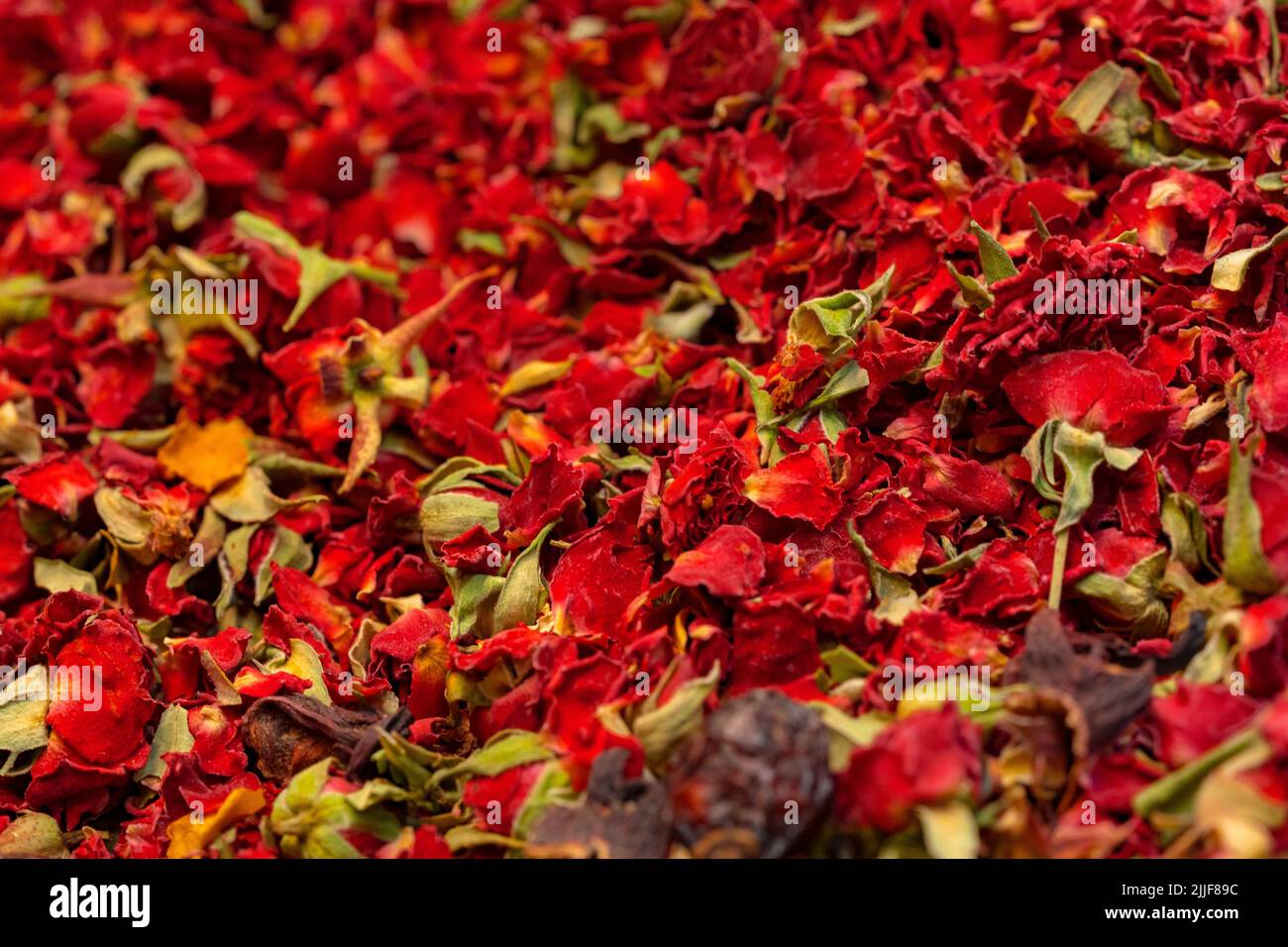 Macro close up background texture of dry rose petals Stock Photo - Alamy