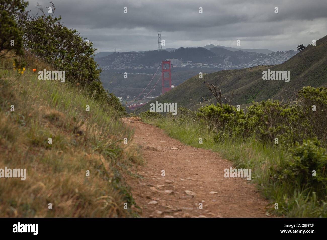 From marin hills hi-res stock photography and images - Alamy