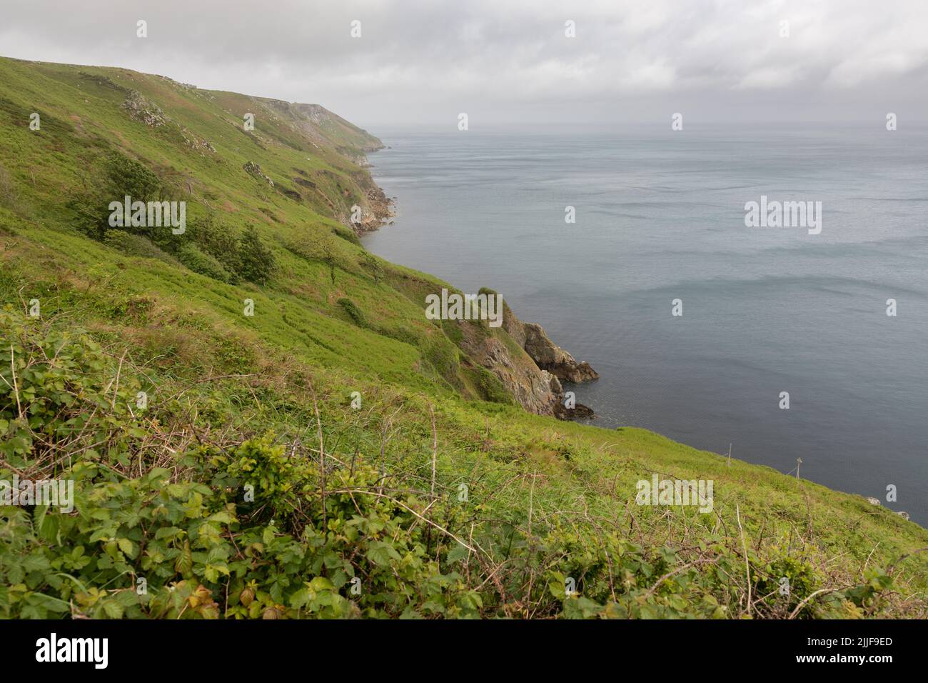 Lundy island devon england europe hi-res stock photography and images ...
