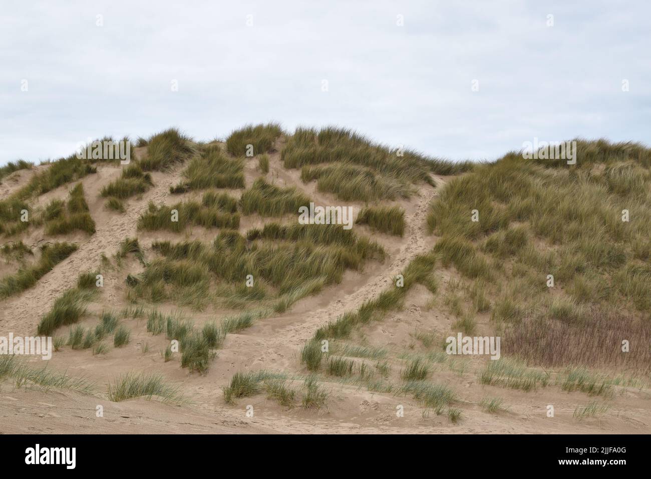 A scenic view of sand dunes with grass around Crosby Beach in England ...