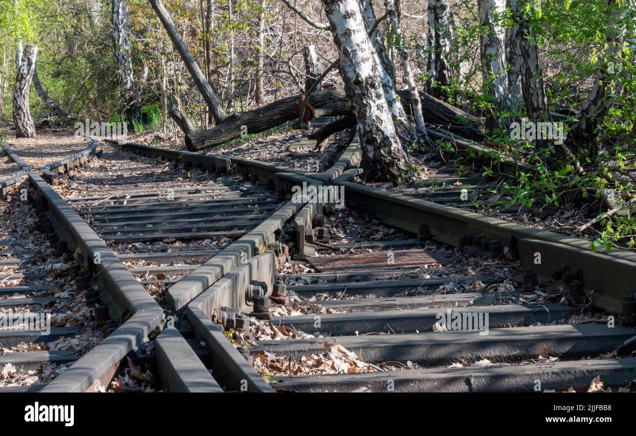 A closeup of disused track railways surrounded by growing trees Stock ...
