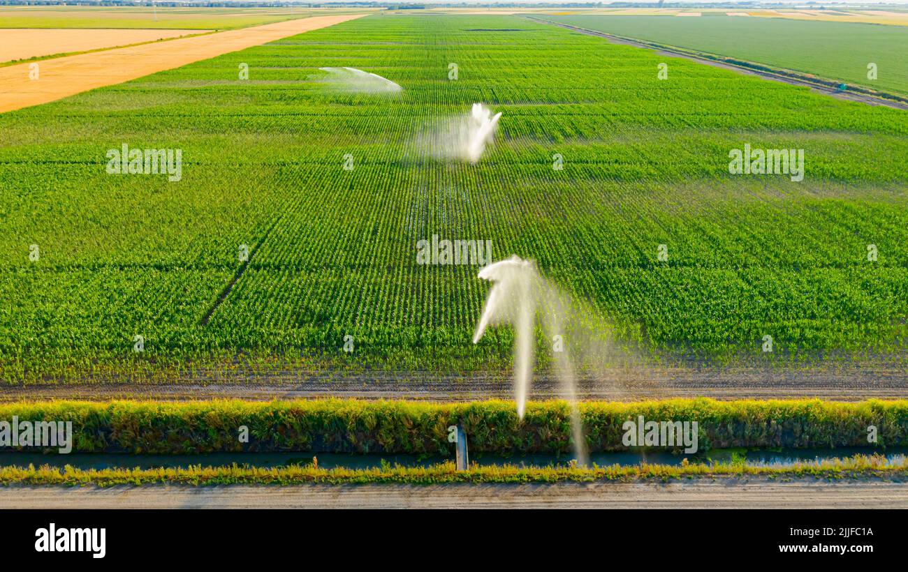 Aerial view of irrigation system from canal, water jet rain guns ...