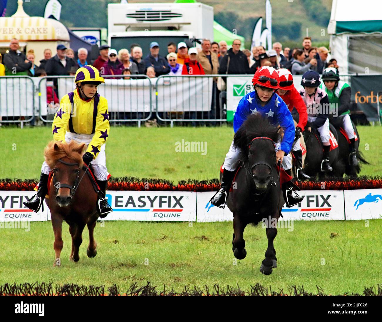 Five shetland ponies racing hi-res stock photography and images - Alamy