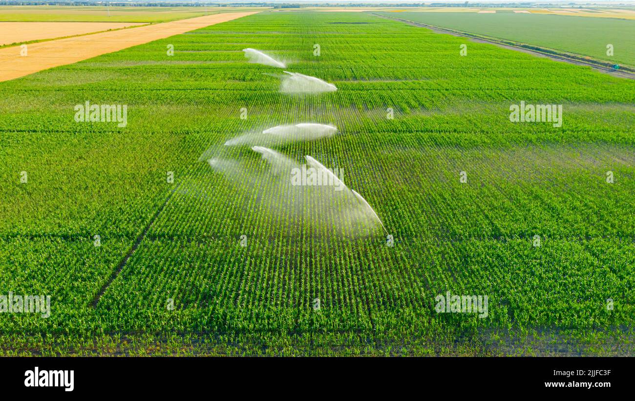 Aerial view of irrigation system, water jet rain guns sprinklers, on ...