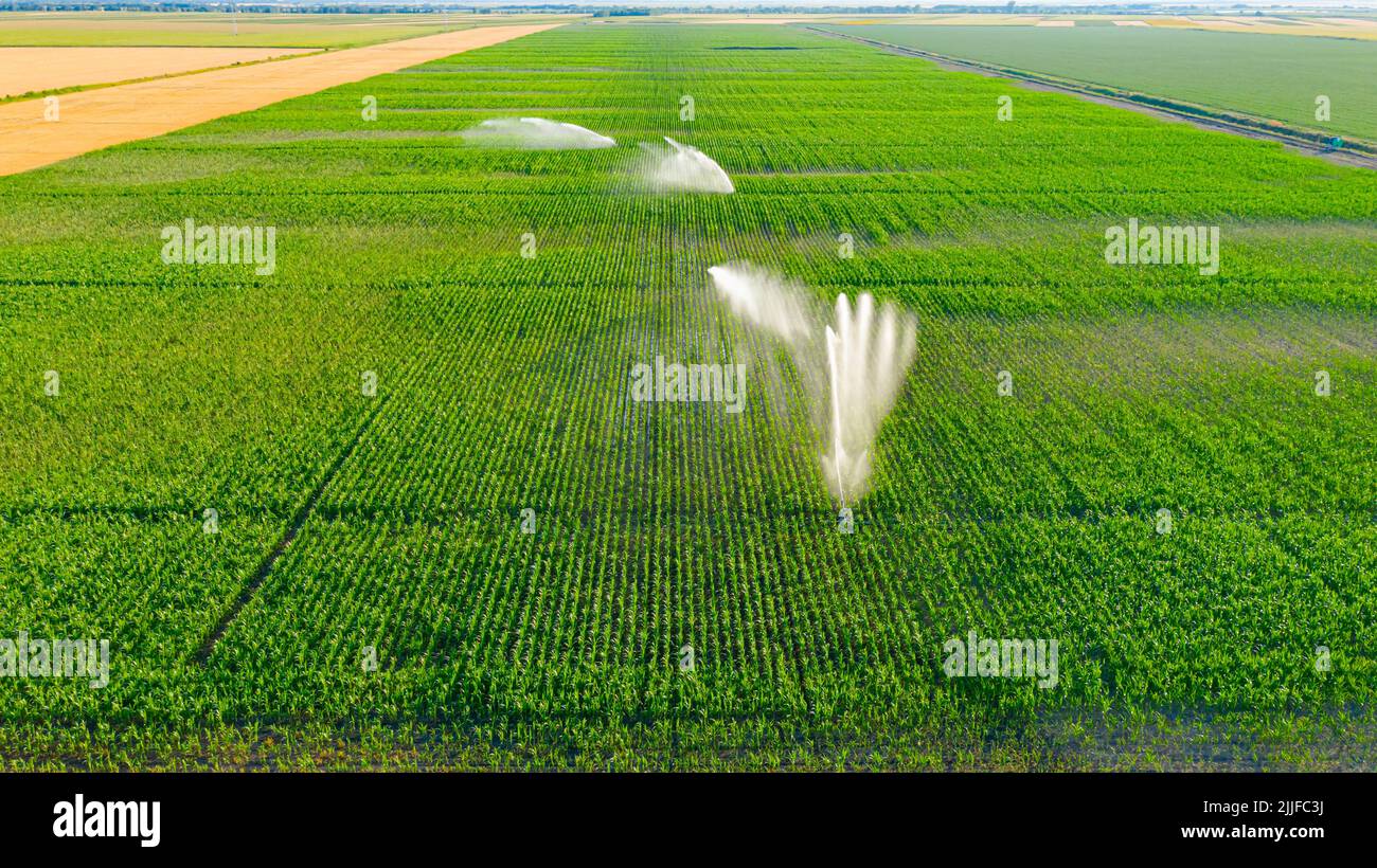 Aerial view of irrigation system, water jet rain guns sprinklers, on ...