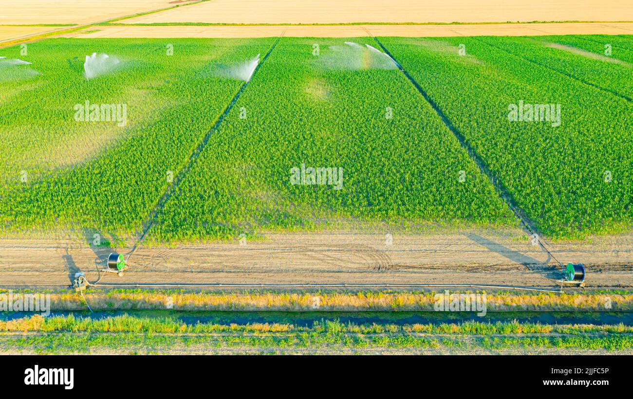 Aerial view of irrigation system from canal, water jet rain guns ...