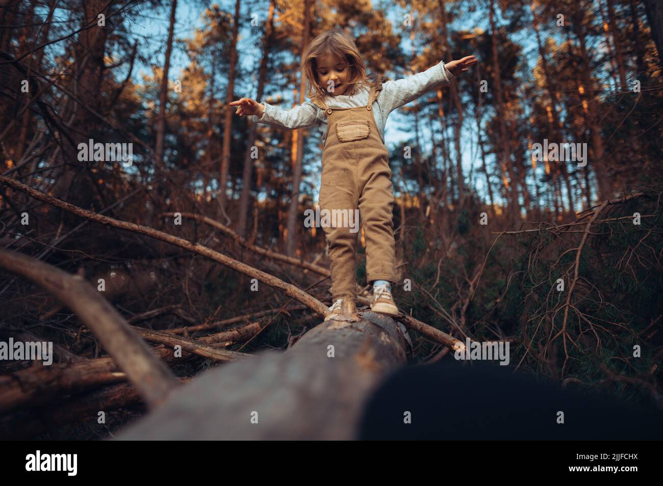 Autumn portrait of happy little girl balancing on tree trunk with arms ...