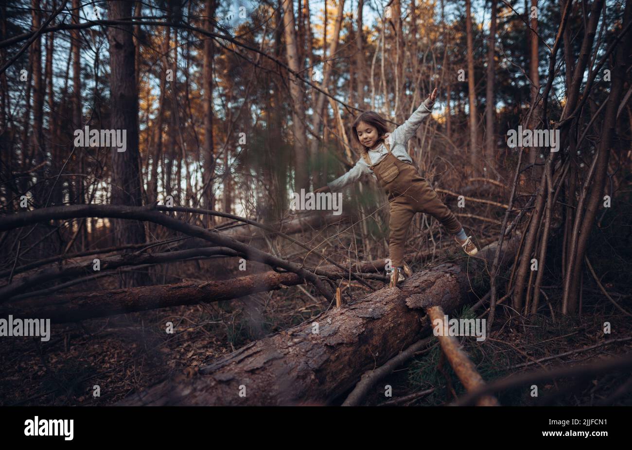 Autumn portrait of happy little girl balancing on tree trunk with arms ...
