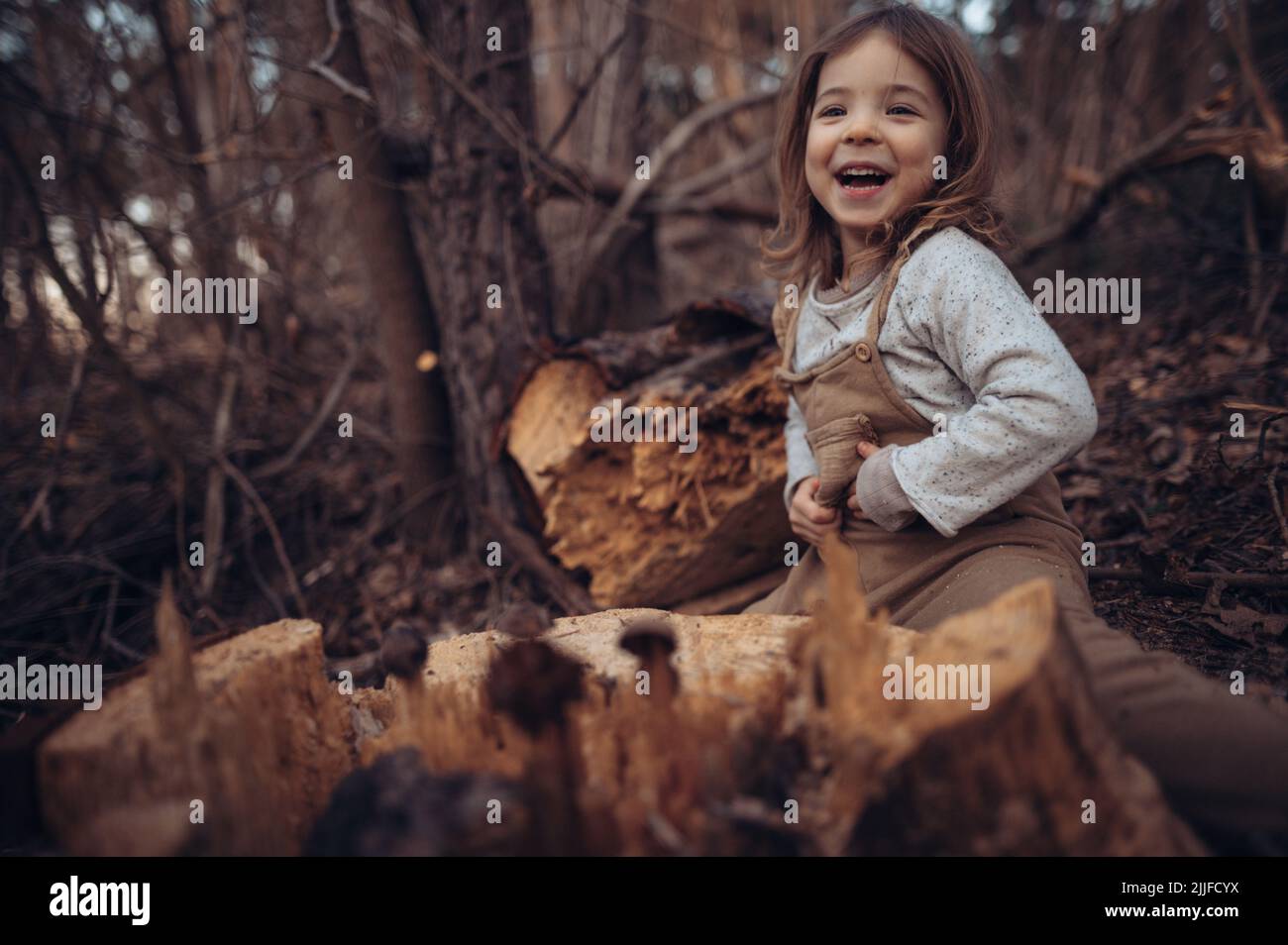 Autumn portrait of happy little girl sitting on tree trunk outdoors in ...