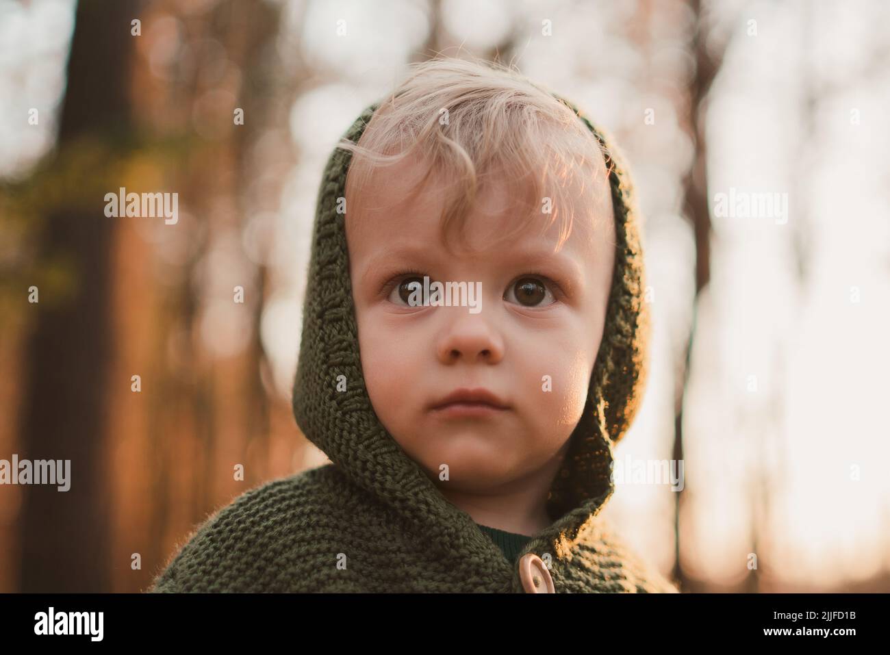 Close-up of cute little boy with knitted hoodie in forest, autumn ...
