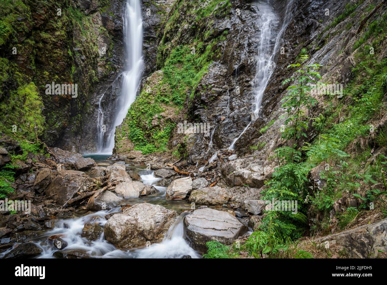 Great pyrenean hi-res stock photography and images - Alamy