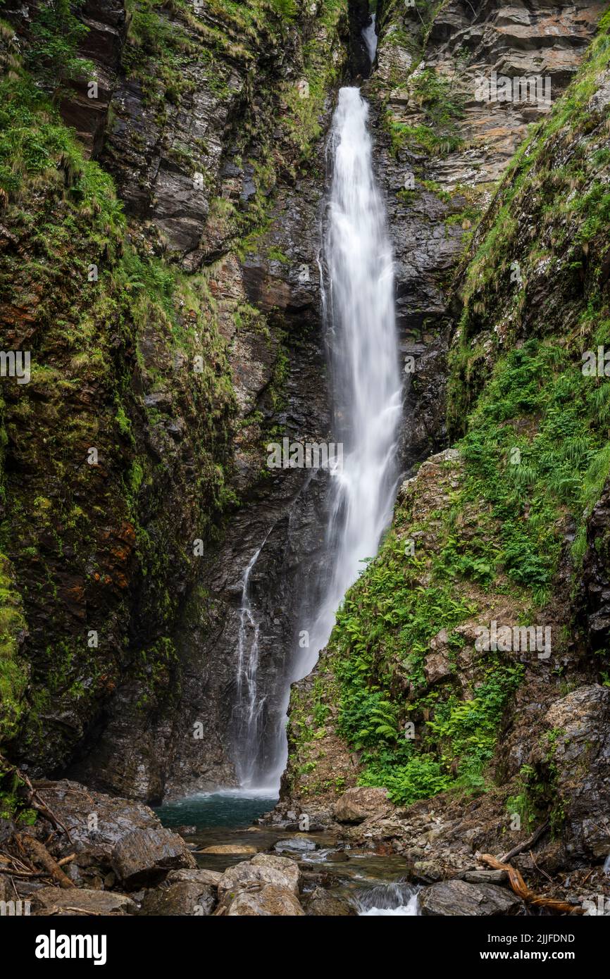 Great pyrenean hi-res stock photography and images - Alamy