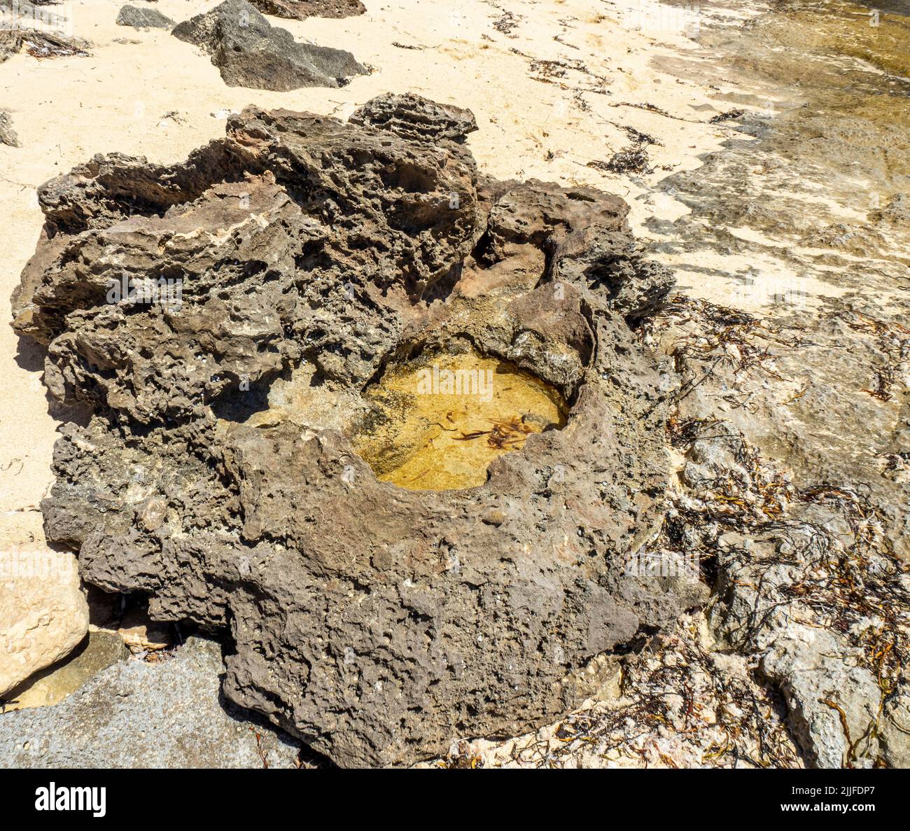 Rockpool australia hi-res stock photography and images - Alamy