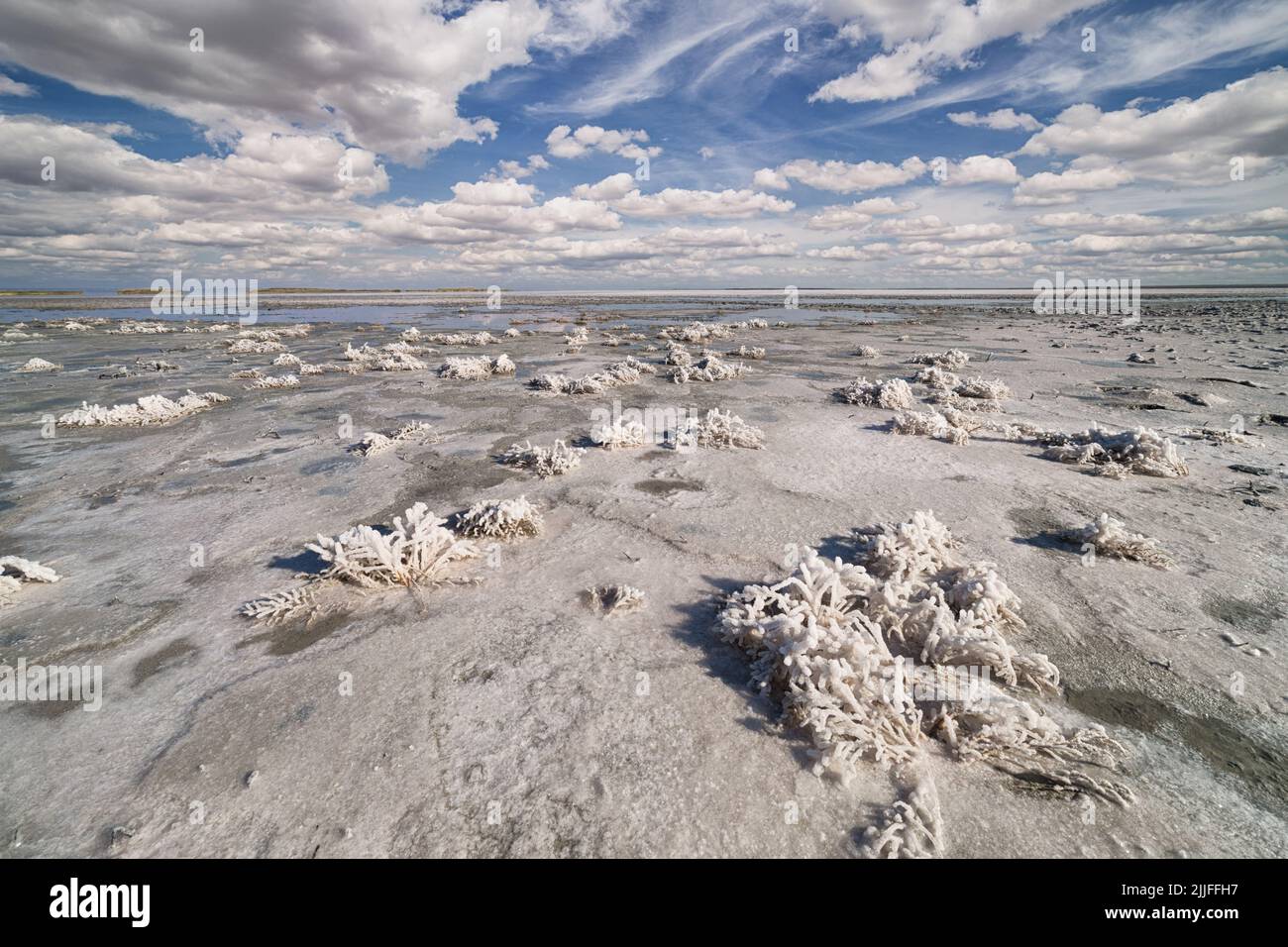Dried salt lake layer of salt, blue sky and clouds Stock Photo - Alamy