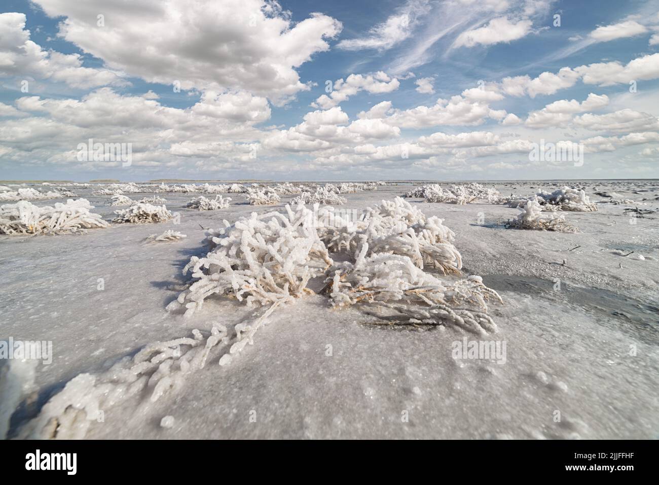 Dried salt lake layer of salt, blue sky and clouds Stock Photo - Alamy
