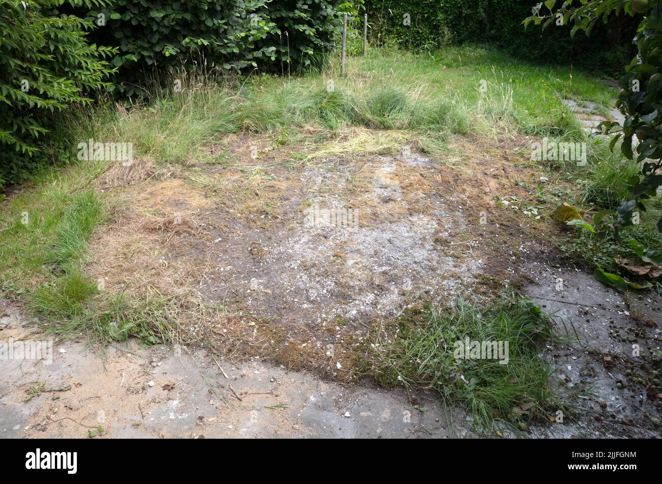 Big yellow dead space in a green field of grass, problem in the garden ...