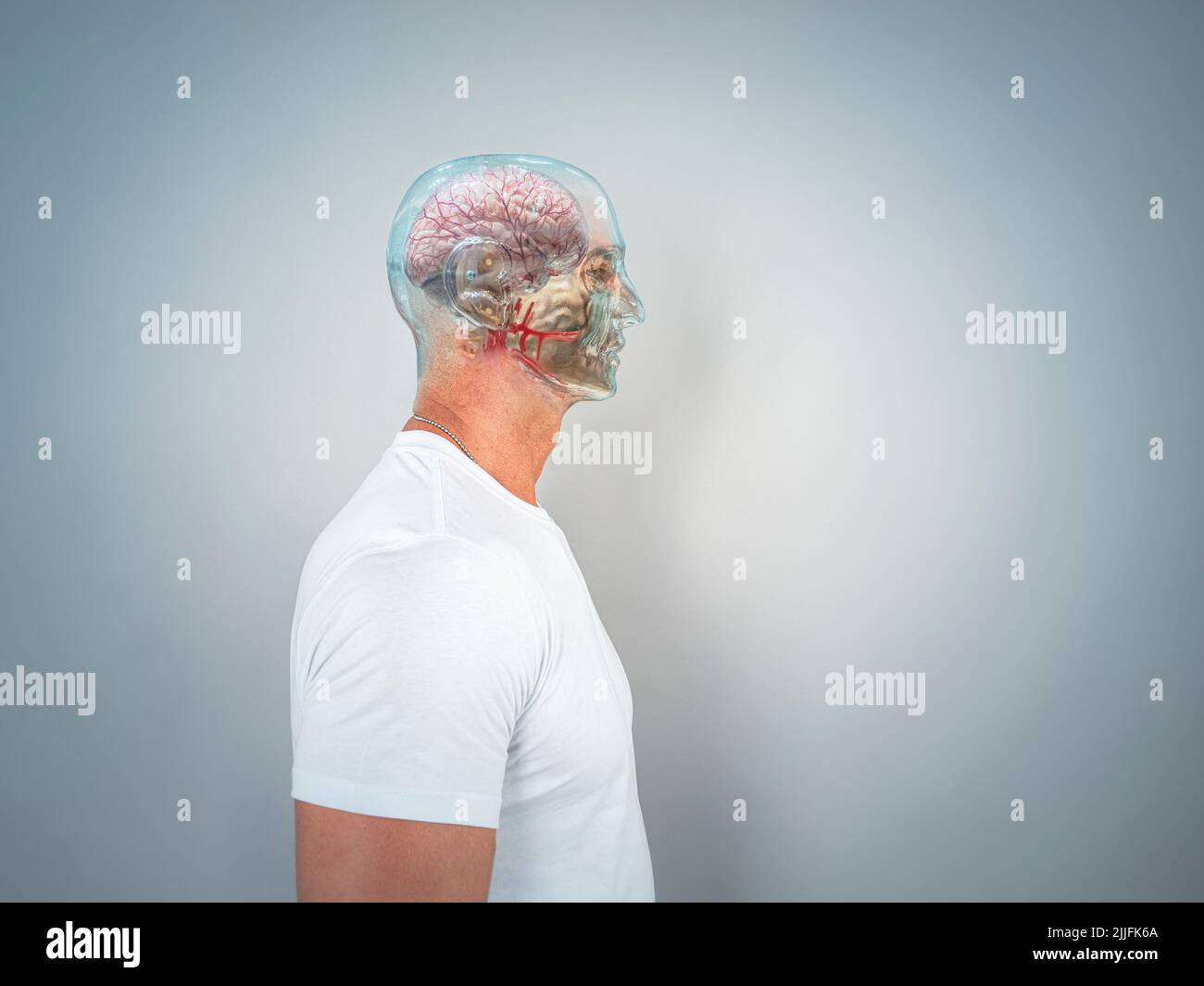 Human brain head transparent hi-res stock photography and images - Alamy