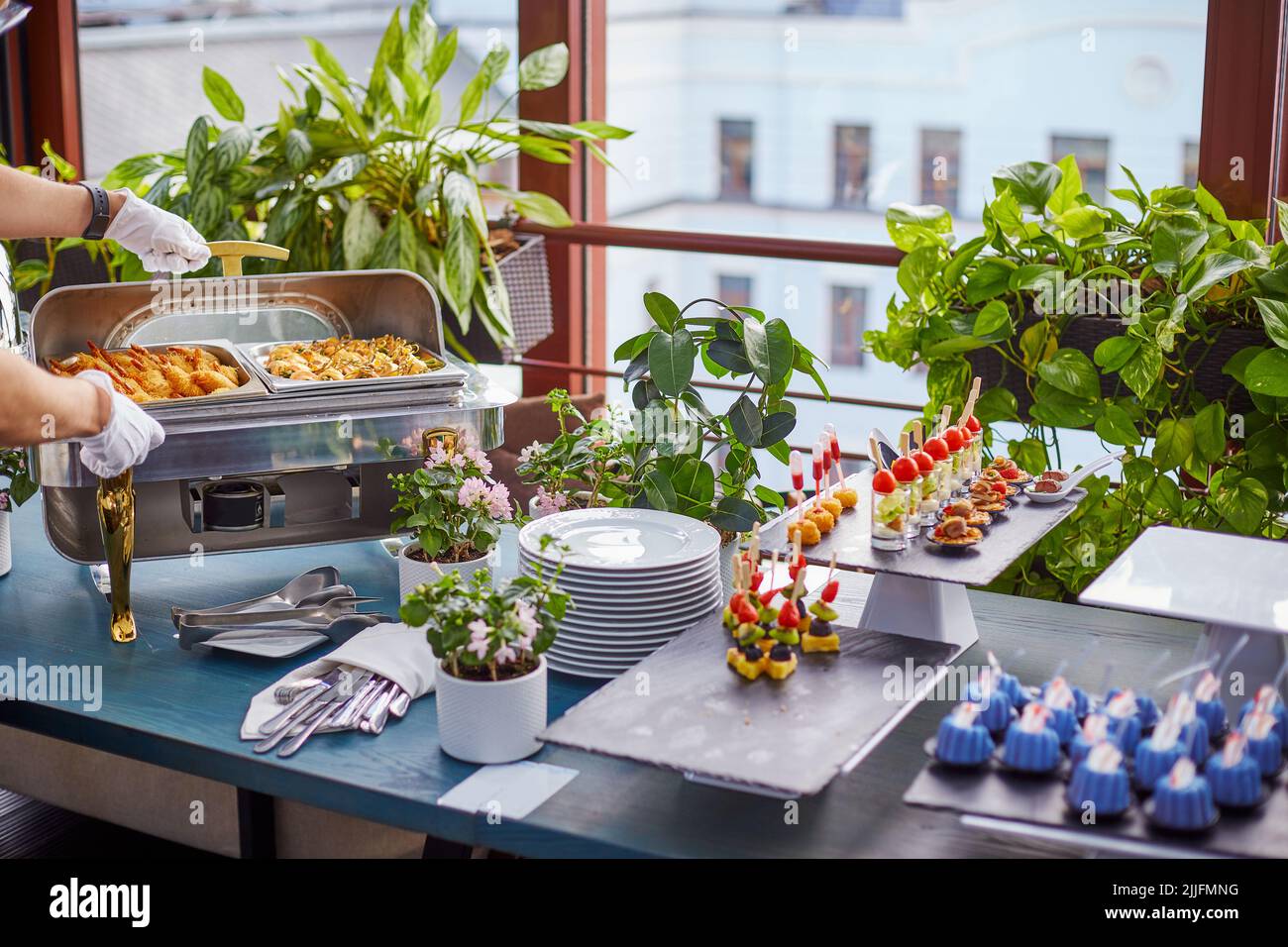 festive delicious buffet, snacks, catering, a wide variety of food ...