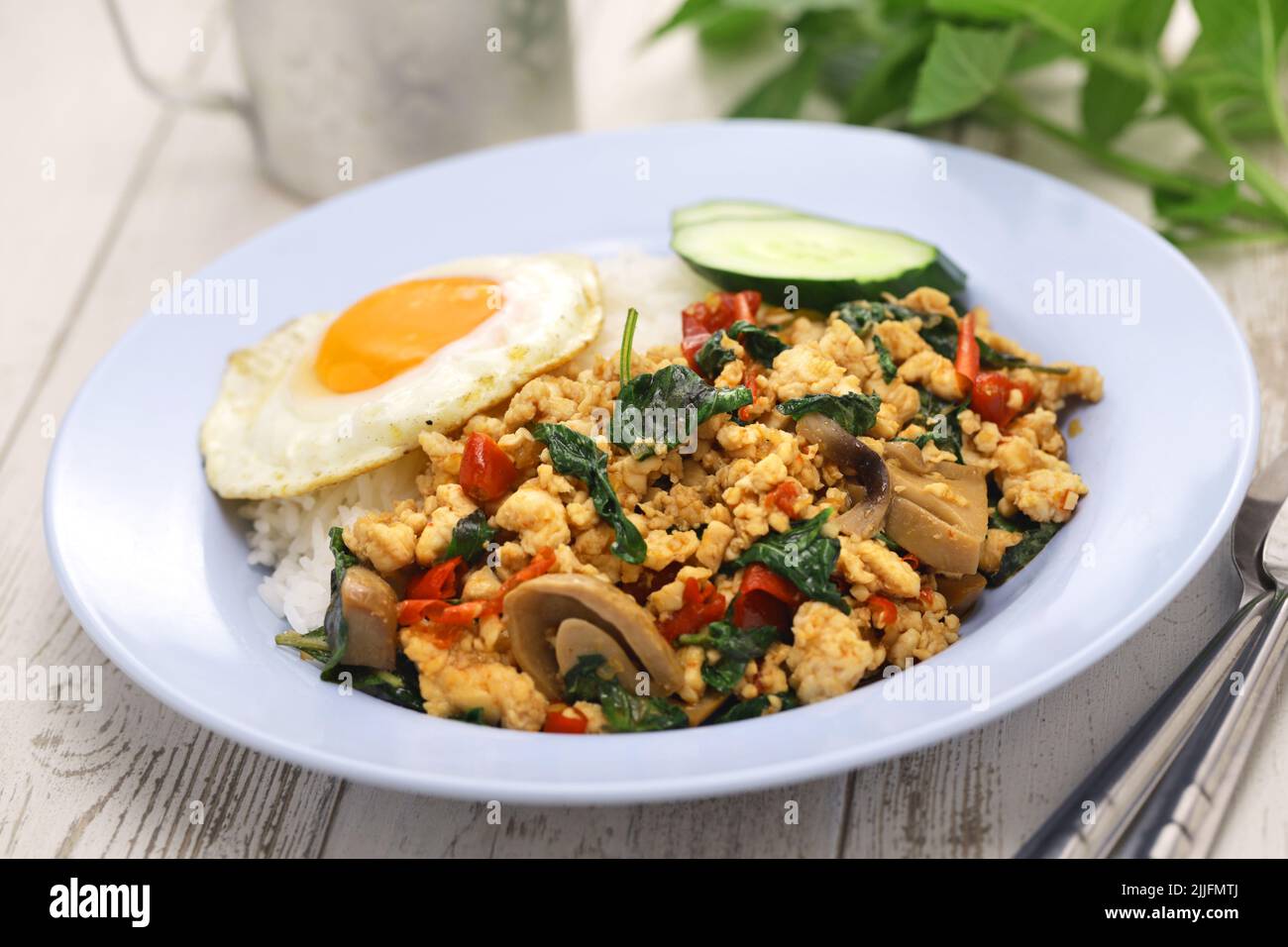 Thai basil chicken ( Gai Pad Krapow Stock Photo - Alamy