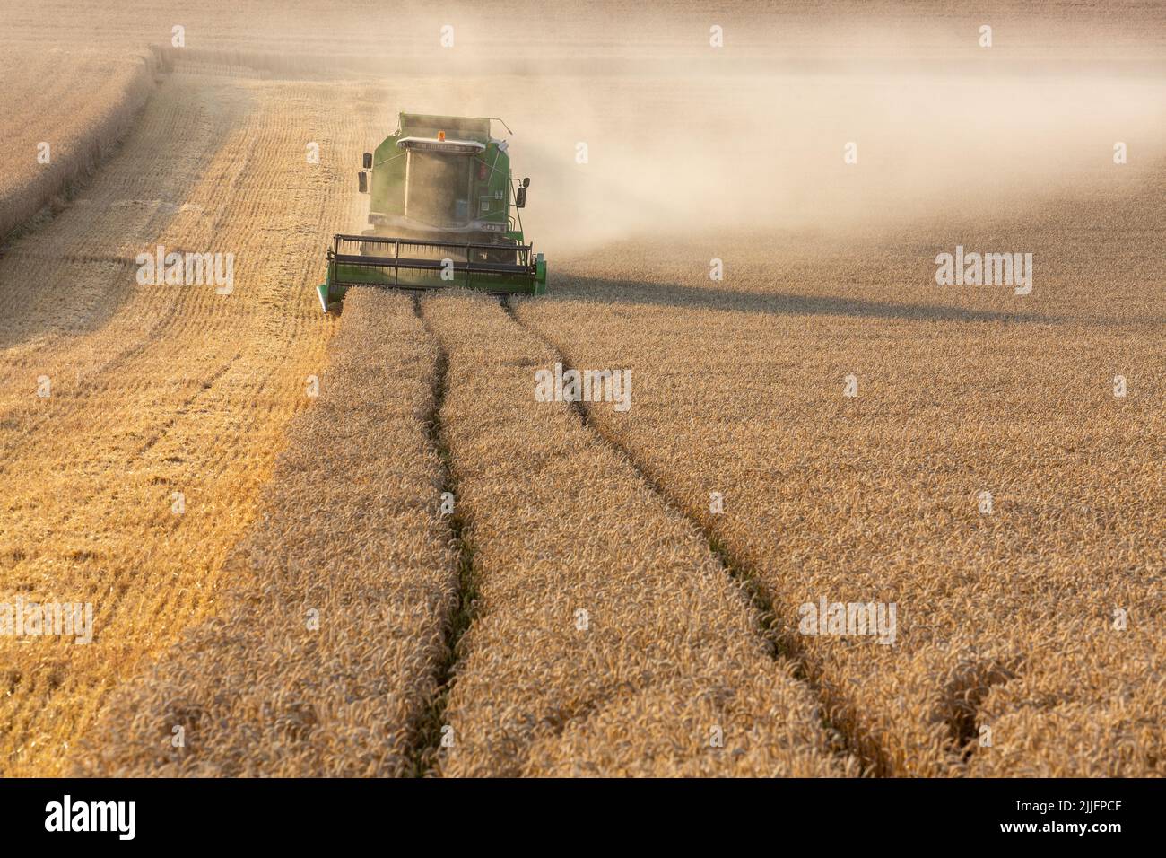 Wheat harvest in progress using combine harvesters. Setting sun ...