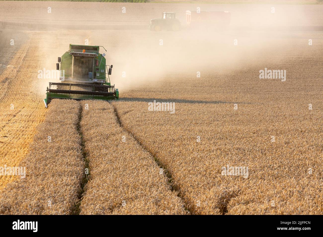 Wheat harvest in progress using combine harvesters. Setting sun ...