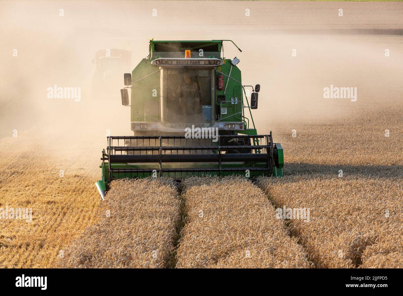 Wheat harvest in progress using combine harvesters. Setting sun ...