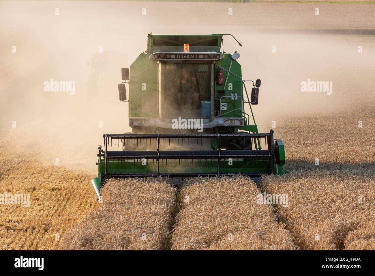 Wheat harvest in progress using combine harvesters. Setting sun illuminating the raised dust ...