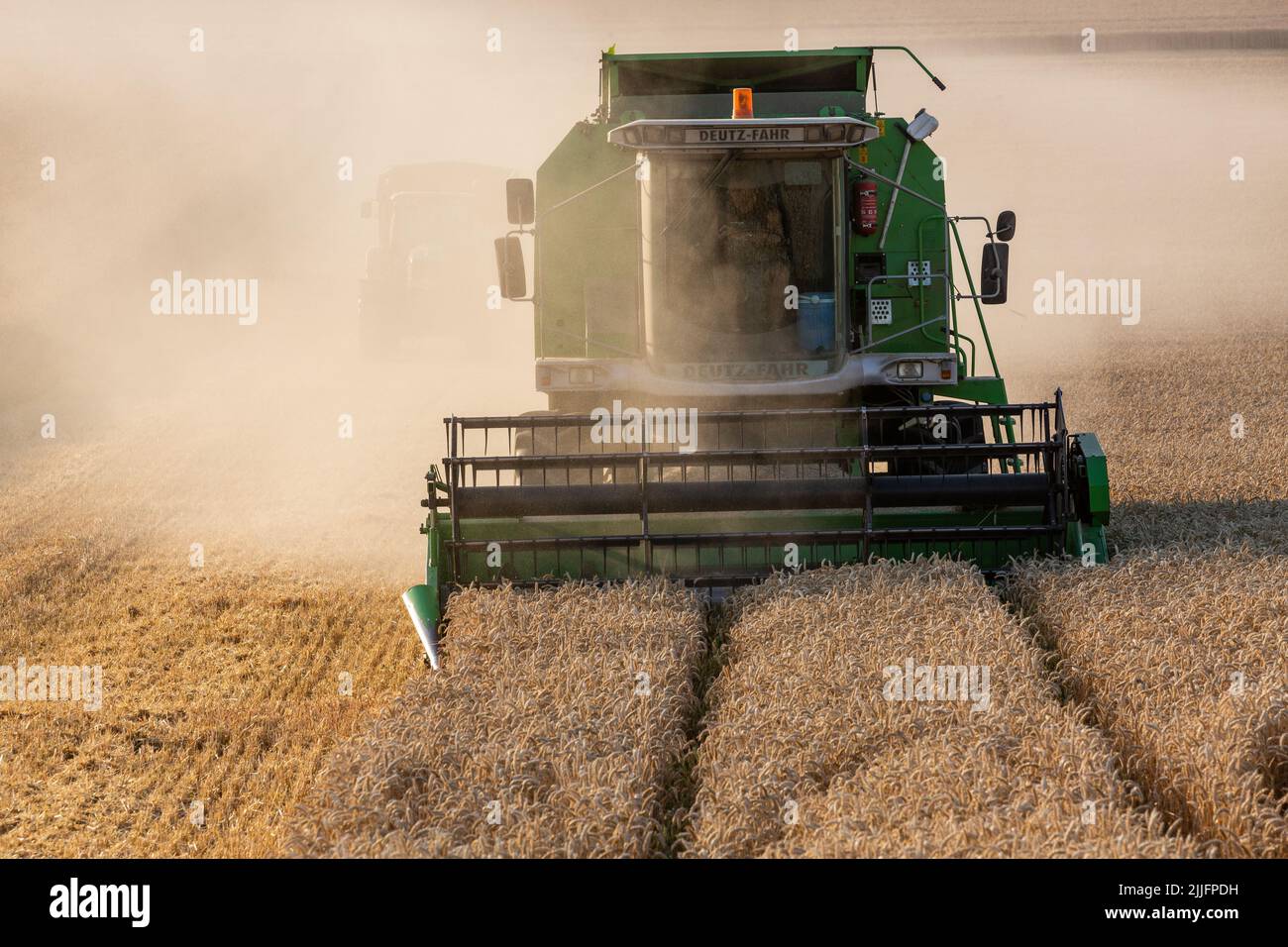 Wheat harvest in progress using combine harvesters. Setting sun ...
