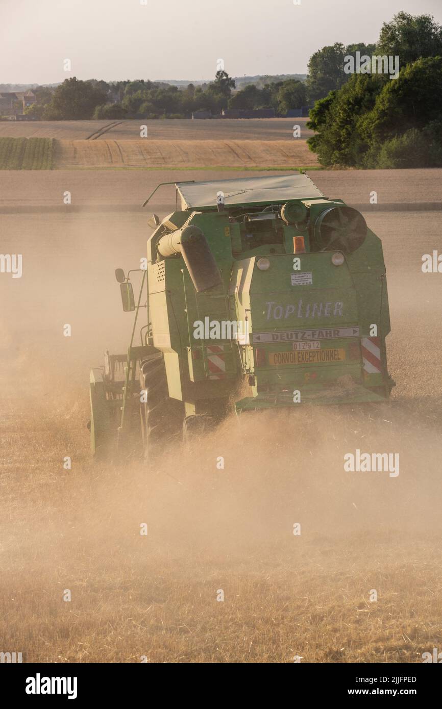 Wheat harvest in progress using combine harvesters. Setting sun ...
