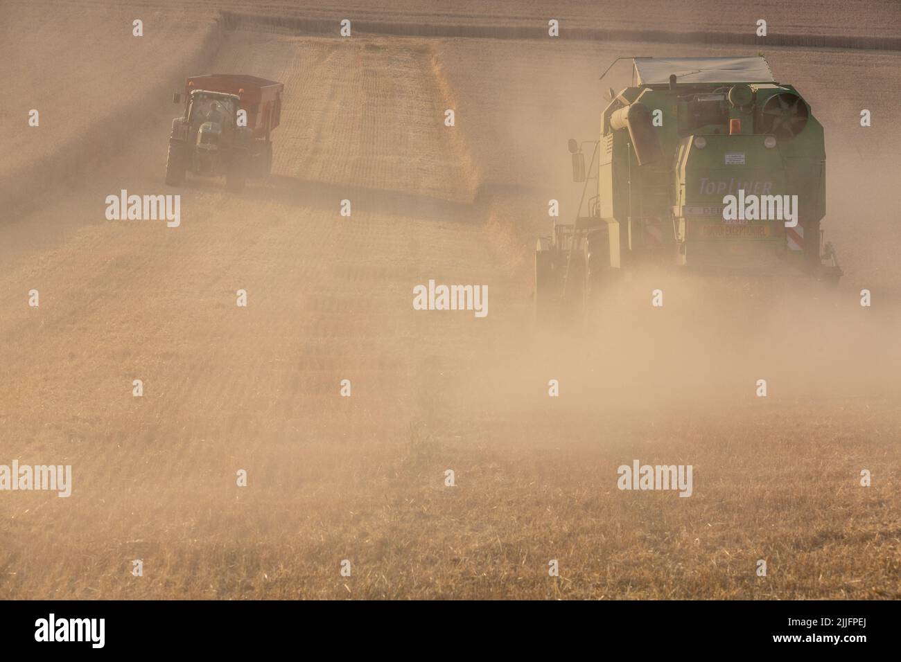 Wheat harvest in progress using combine harvesters. Setting sun ...