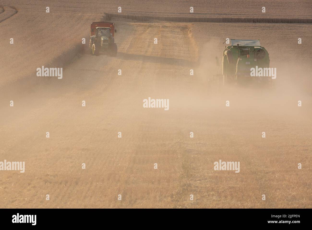 Wheat harvest in progress using combine harvesters. Setting sun ...