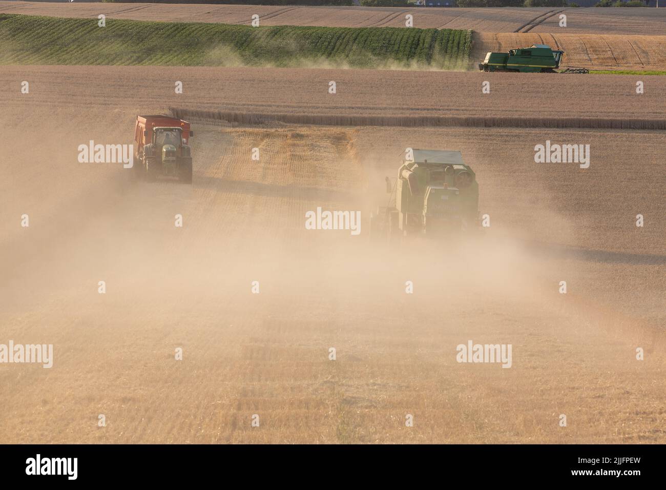 Wheat harvest in progress using combine harvesters. Setting sun ...