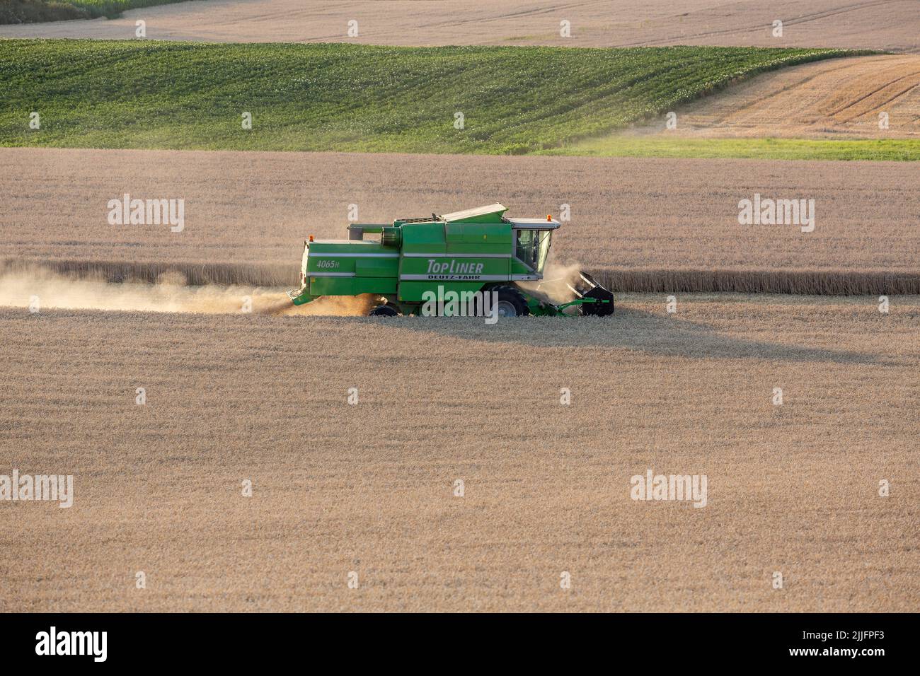 Wheat harvest in progress using combine harvesters. Setting sun ...