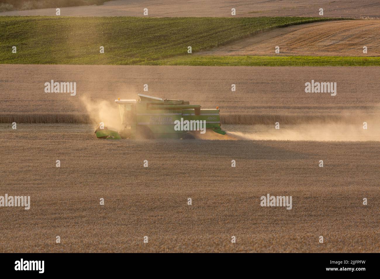 Wheat harvest in progress using combine harvesters. Setting sun ...