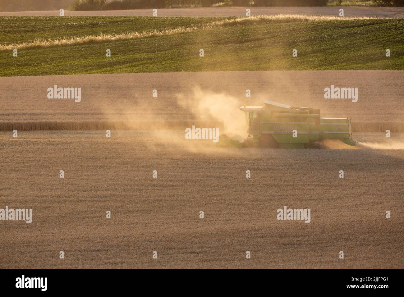 Wheat harvest in progress using combine harvesters. Setting sun ...