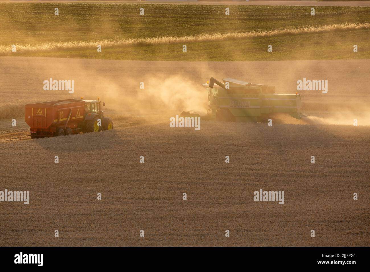 Wheat harvest in progress using combine harvesters. Setting sun ...