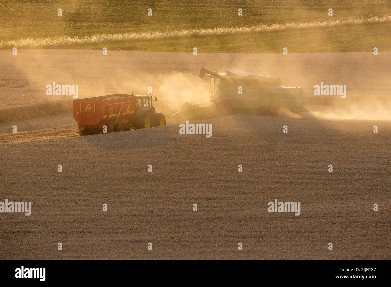 Wheat harvest in progress using combine harvesters. Setting sun ...