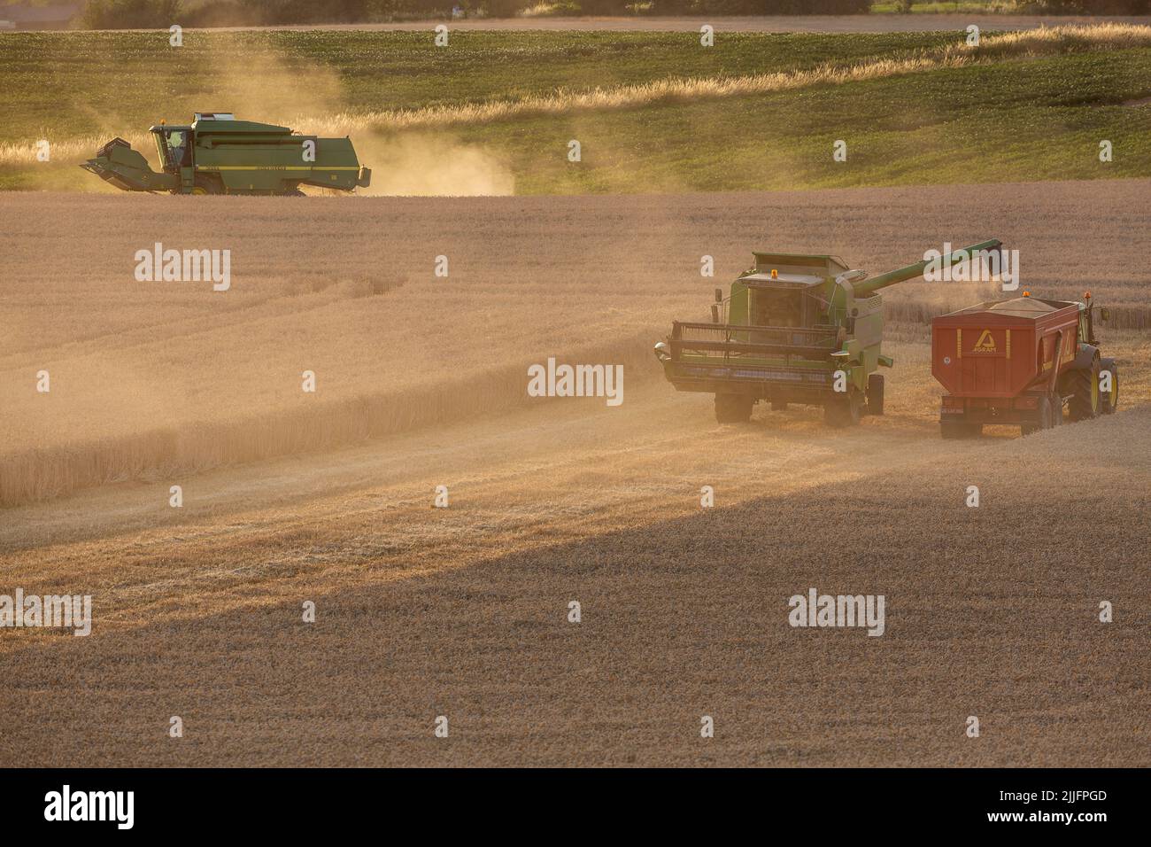 Wheat harvest in progress using combine harvesters. Setting sun ...