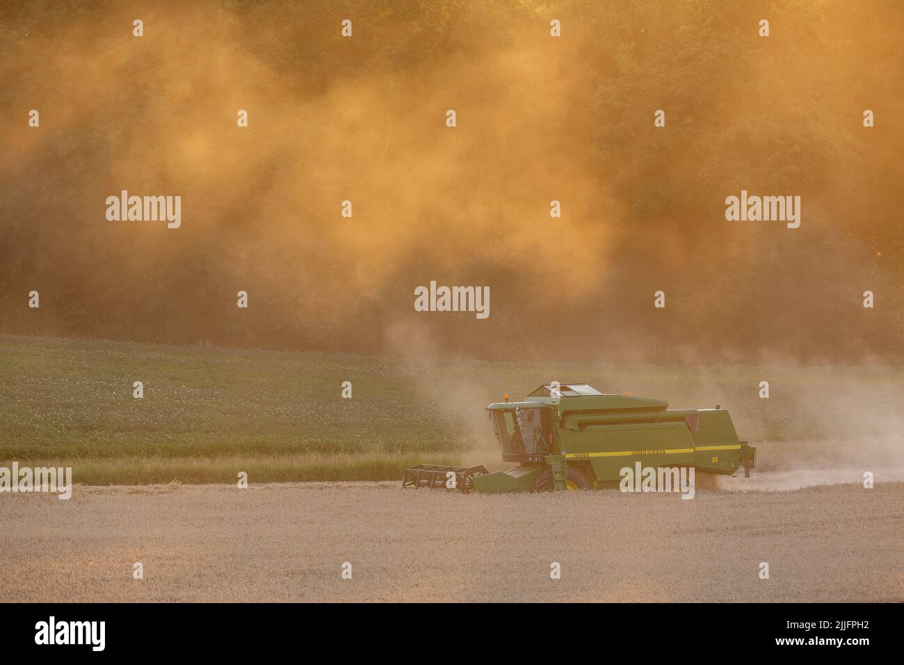 Wheat harvest in progress using combine harvesters. Setting sun ...