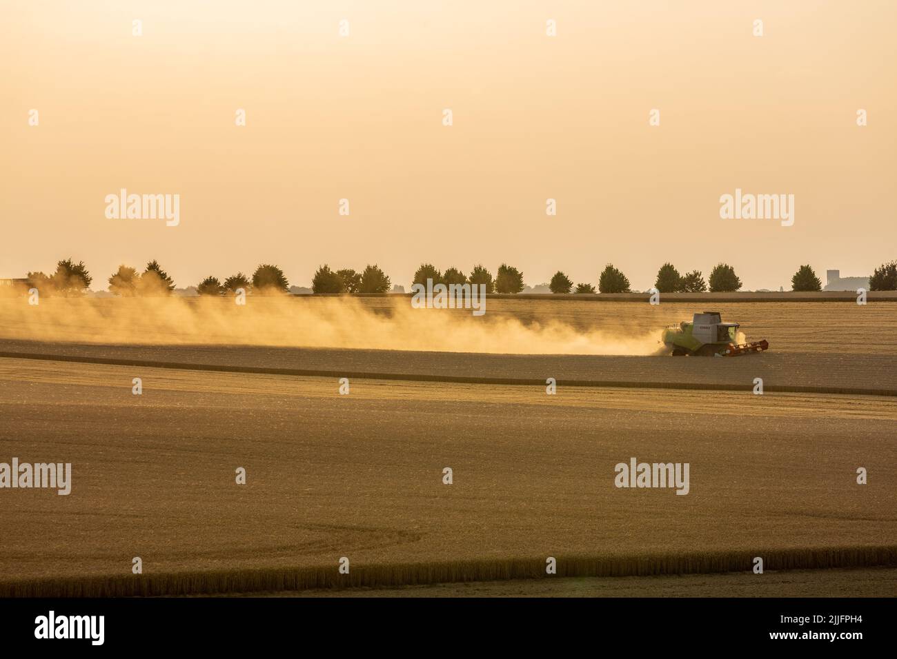 Wheat harvest in progress using combine harvesters. Setting sun ...