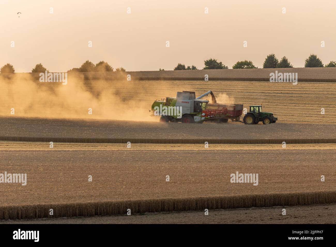 Wheat harvest in progress using combine harvesters. Setting sun ...