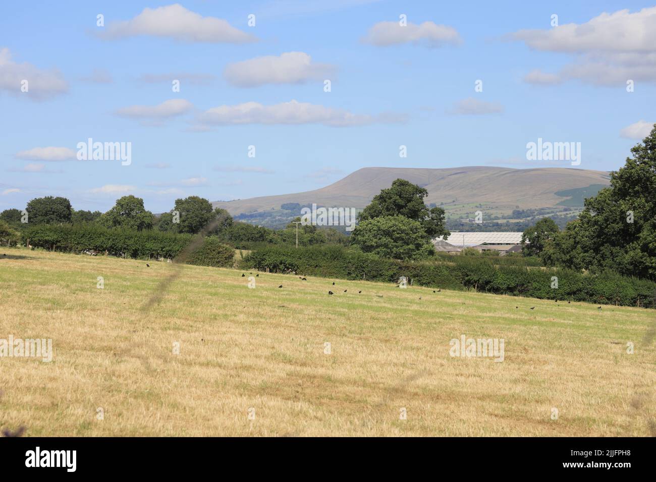 A view of the Ribble Valley on a summer evening with Pendle Hill in the ...