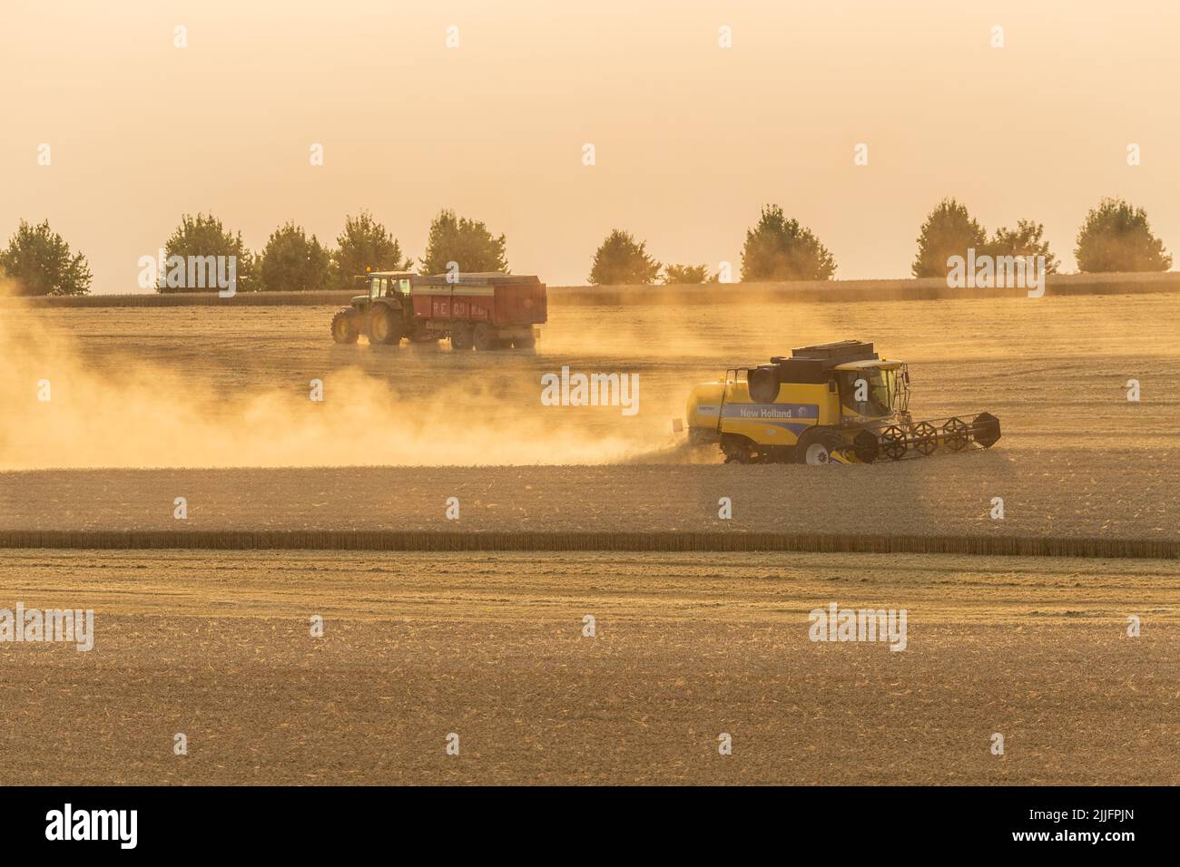 Wheat harvest in progress using combine harvesters. Setting sun ...