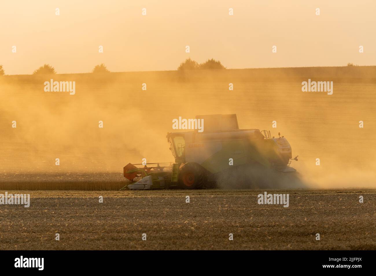 Wheat harvest in progress using combine harvesters. Setting sun ...