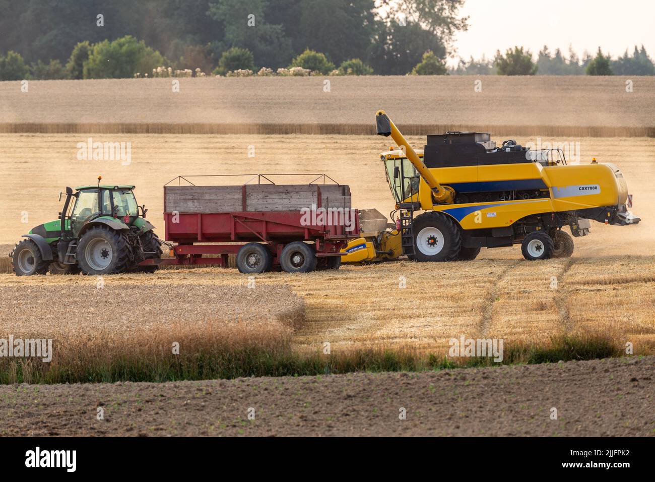 Wheat harvest in progress using combine harvesters. Setting sun ...