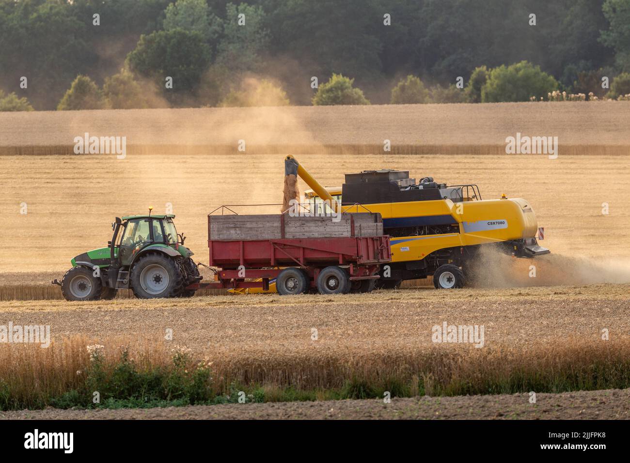 Wheat harvest in progress using combine harvesters. Setting sun ...