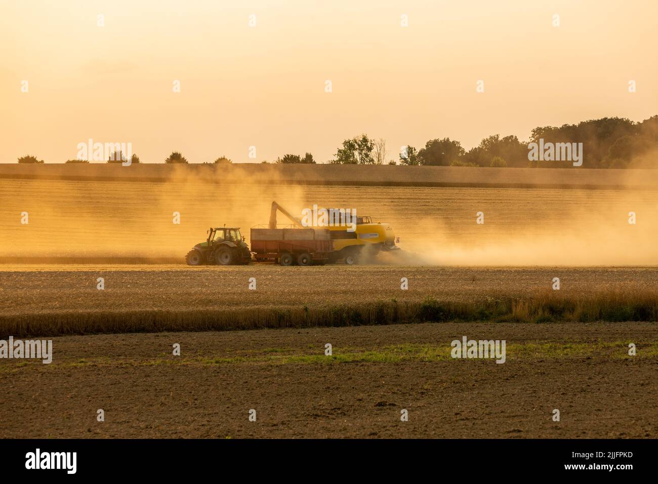 Wheat harvest in progress using combine harvesters. Setting sun ...