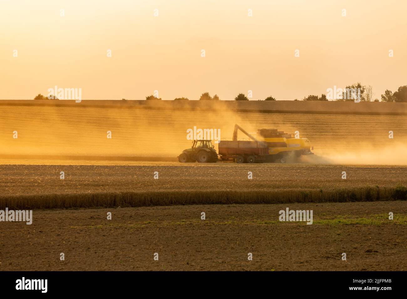 Wheat harvest in progress using combine harvesters. Setting sun ...