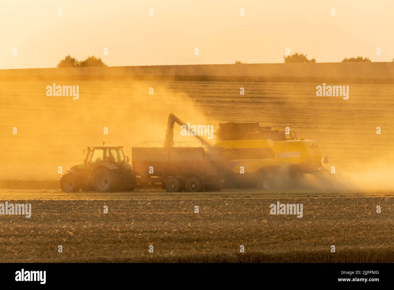 Wheat harvest in progress using combine harvesters. Setting sun ...