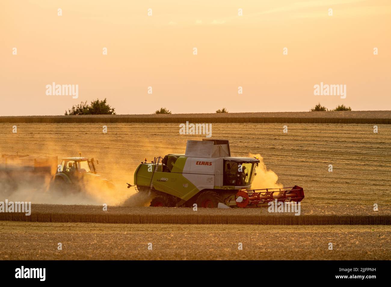 Wheat harvest in progress using combine harvesters. Setting sun ...